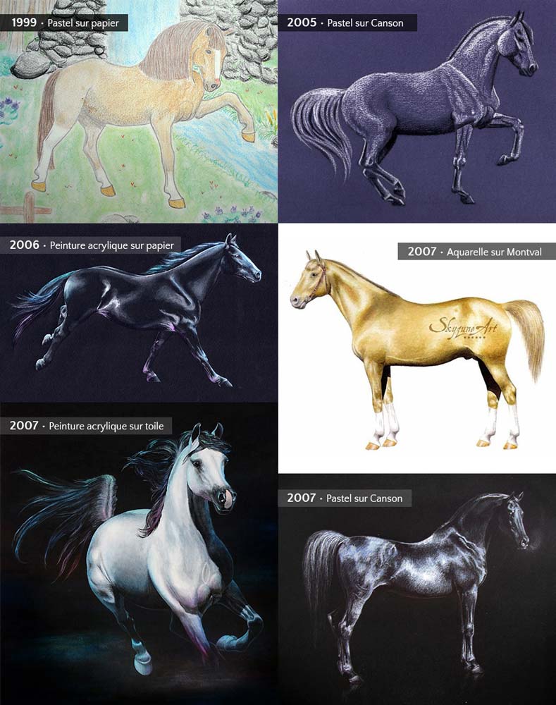 Biographie Skyzune ART, artiste équin et animalier