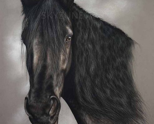 Galerie • Artiste animalier • Skyzune ART • Peinture et pastel