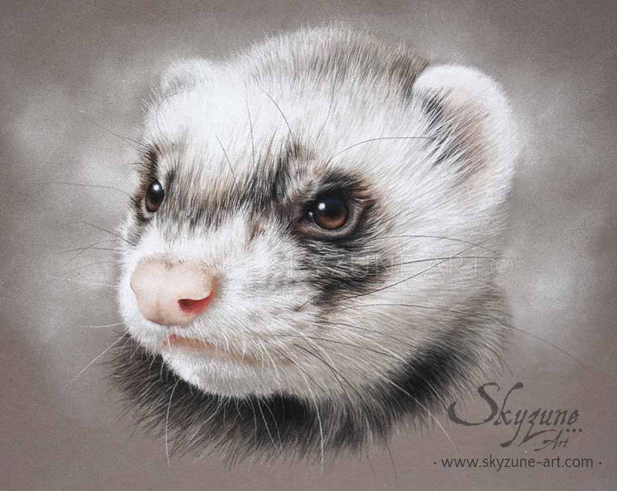 Galerie • Artiste animalier • Skyzune ART • Peinture et pastel